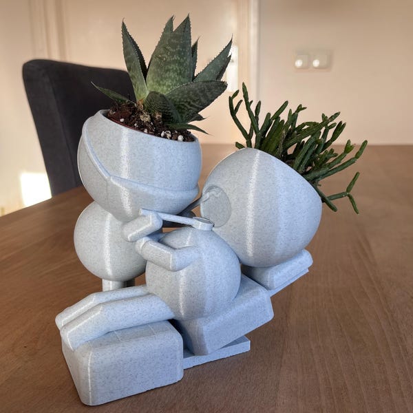 Wee Jimmy Dino Rider Dinosaur Brachiosaurus Diplodocus Succulent Plant ...