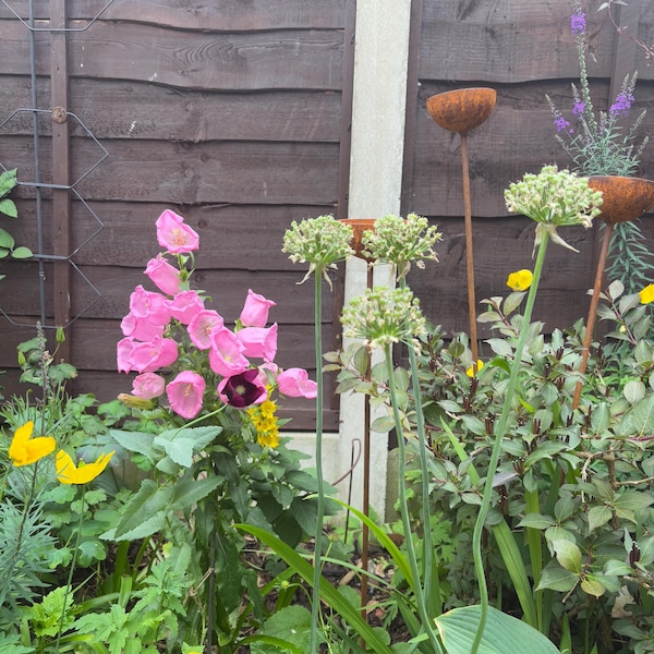 Rusty Metal Poppy Flower Sculpture / Garden Art Decoration / Outdoor ...