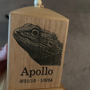 Guinea Pig Urn,rat Urn, Custom Rat Urn,hamster Urn,ashes Urn Engraved ...