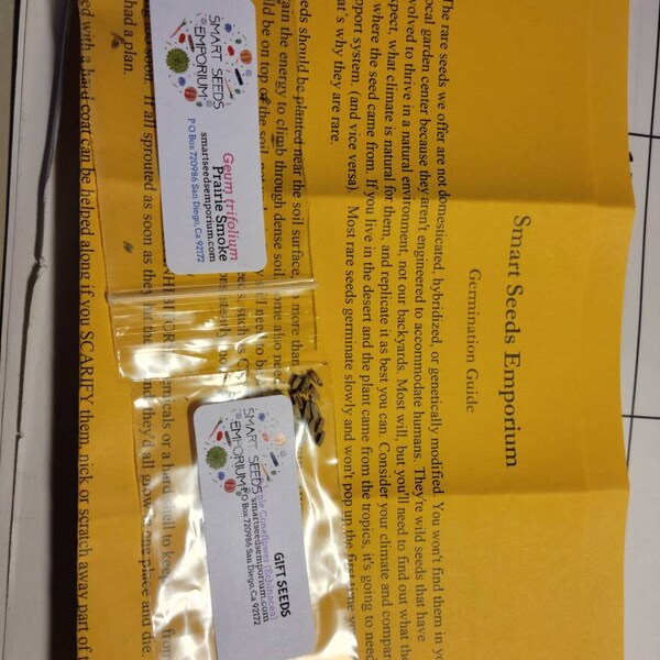 Prairie Smoke, 20 Seeds, Geum Trifolium, Prairie Wildflower, Crazy Seed ...