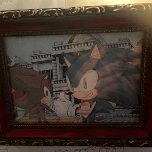 Mr. Presidents Photo From Shadow the Hedgehog - Etsy