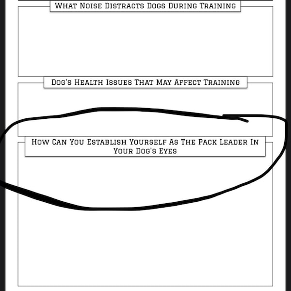 Soap Business Planner, Soap Making Business, Soap Recipe Sheet, Soap ...