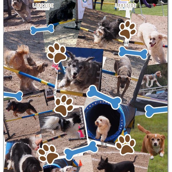 Funny Angry Stressed Out Cat Digital Art - Cute Cartoon Cat Design for ...