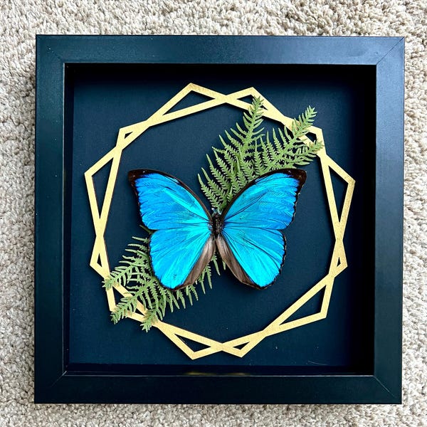 Wooden Infinity Symbol for Crafts and Decorations - Infinity Symbol ...