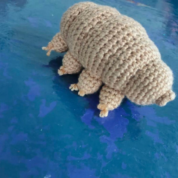 Tardigrade Amigurumi Crochet Pattern - PDF - English - Etsy