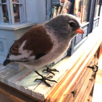 Northern Mockingbird Felting Realistic Toy the State Bird of Arkansas ...