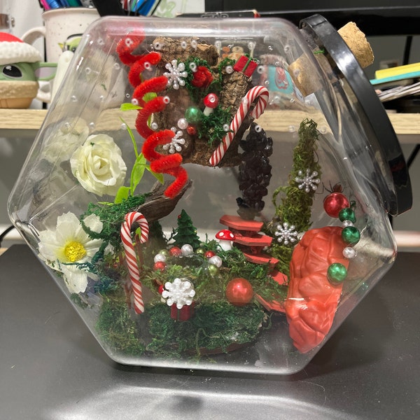 Jumping Spider Enclosure Pink Cute Girly Owl Spider Home Terrarium ...