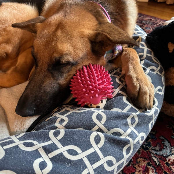 Interactive Dog Toy for Strong Chewers, Freddy Hedgehog All-in-one ...