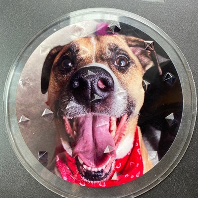 Personalized Stomp Pad Custom Stomp Pad Snowboard Stomp Pad - Etsy