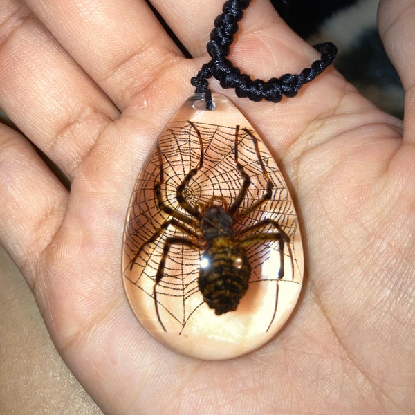REAL Orb Weaver Teardrop Spider on Real Preserved Spider Web Necklace ...