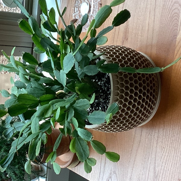 Wood Honeycomb Planter, Unique 3D Printed Plant Pot With Drainage & Saucer for Houseplants, 9 ...