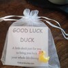 Good Luck Duck Good Luck Gift Cute Duck Gift Desk Buddy Cute Little ...