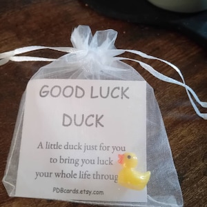 Good Luck Duck Good Luck Gift Cute Duck Gift Desk Buddy Cute Little ...
