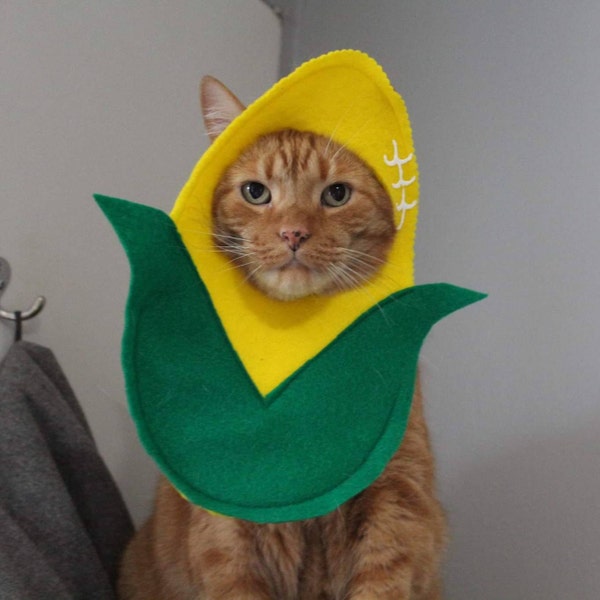 It's Corn Pet Costume for Cats Small Dogs in Lightweight Bright Felt a ...