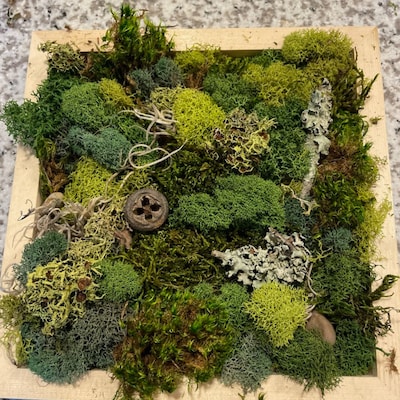 16 Moss Letters, Moss Numbers, Preserved Moss, Unique Signs, Wedding ...