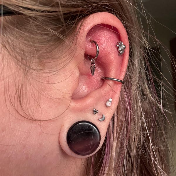 Implant Grade Titanium Chain Hoop Conch, Septum Ring Piercing F128 ...