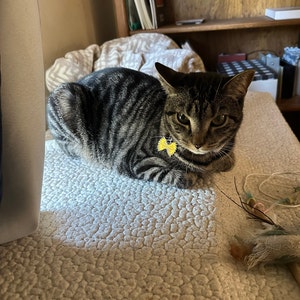 Checkered Cat Collar Black and White Checks Safety - Etsy