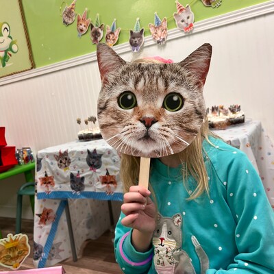 Cat Face Stick, Face on a Stick Prop, Cat Party, Cat Face on a Stick ...