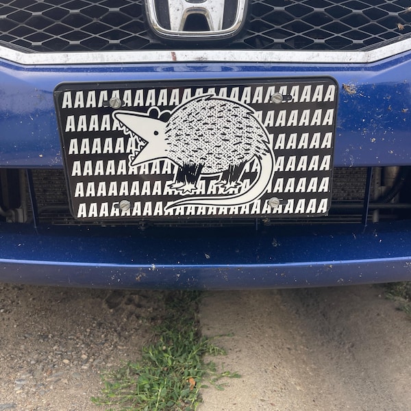 Opossum License Plate, Possum Car Decor, Funny Car Accessories for Men ...
