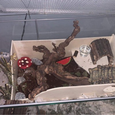 Hamster Large Sandbox Slot Together Wooden - Etsy