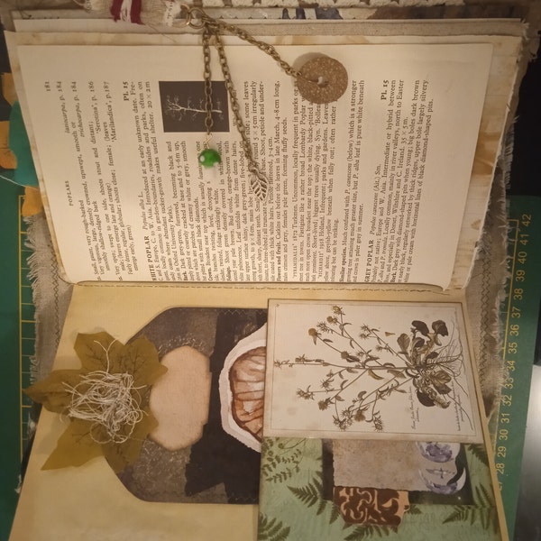 Aphrodite Journal, Goddess Journal, Aphrodite Grimoire ,greek Junk ...