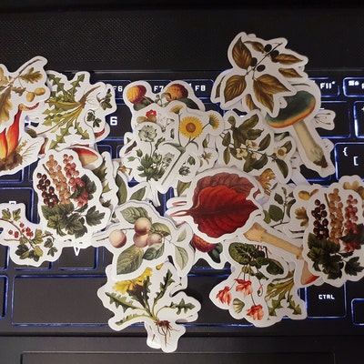 World Map Stickers Set of 15 Junk Journal Stickers Paper - Etsy