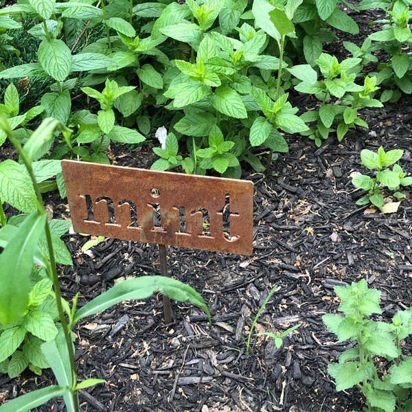 Rusted Steel Classic Garden Markers: Rustic Plant Labels, Bulk Set - Etsy