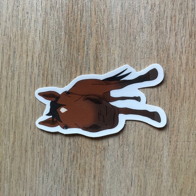 Customizable Animation Horse Sticker Personal Decal Cartoon Horse Gift ...