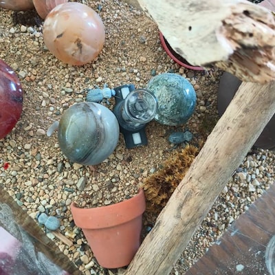 Wicking Water Feeder Trough for Small Pets Insects, Spiders, Beetles ...