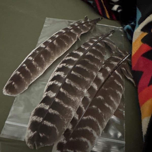 Natural Turkey Feathers, Smudging Feathers, Feathers for Smudging or ...