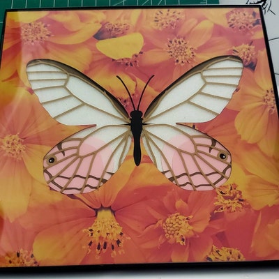 Enchanted Forest 3D Shadowbox SVG Cricut Project Instant - Etsy