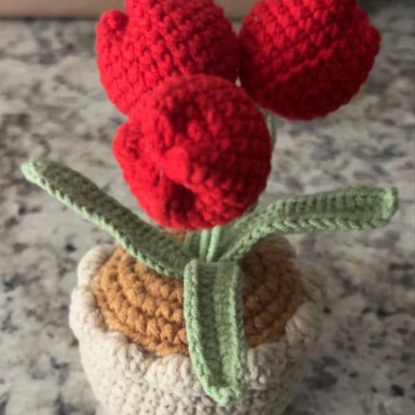 Handmade Crochet Tulip Flower Pot - Pink, Purple, Orange, or Blue ...