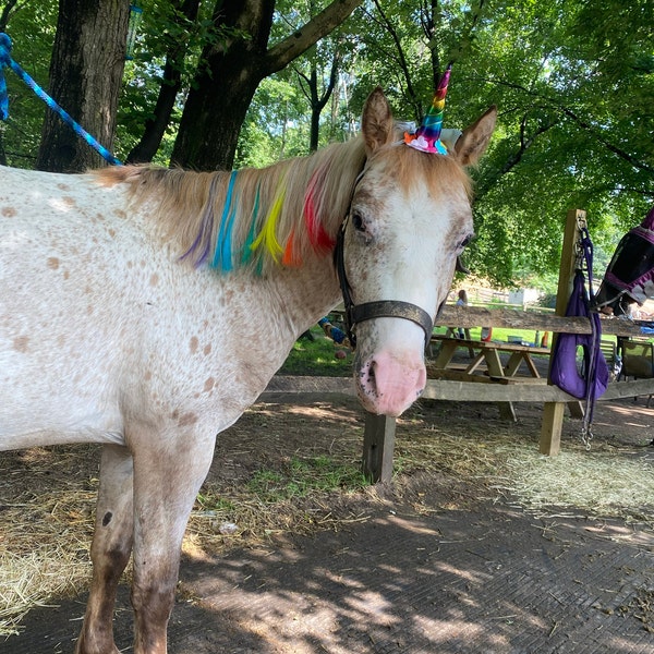 Design Your Own Mane Hair Extensions for Horses (perfect for Parties ...
