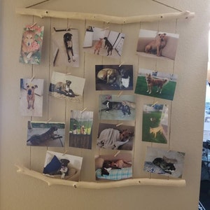 Debarked Wood Sticks Thin Macrame Hanging Dowel Different Sizes for ...