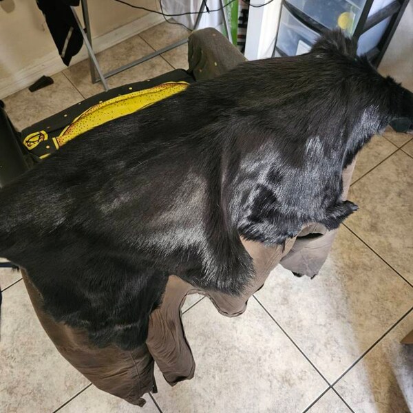 Springbok Skin Natural Springbok Skin XXL Size Tanned Springbok Hide ...