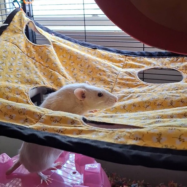 Rat Fall Breaker, Rat Fall Safe, Rat Cage Hammock, Rat Cage, (fall ...