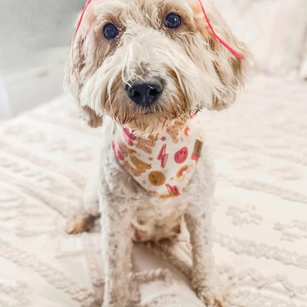 Fil A Dog Bandana | Chicken Nugget Dog Bandana | Chick Dog Bandana ...