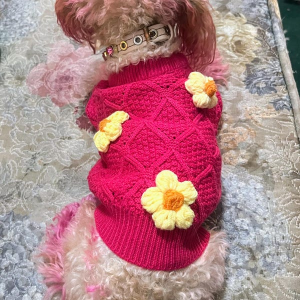 Pink Dog Swetaer,soft Pink Butterfly Dog Sweater,cat Sweater,pet ...