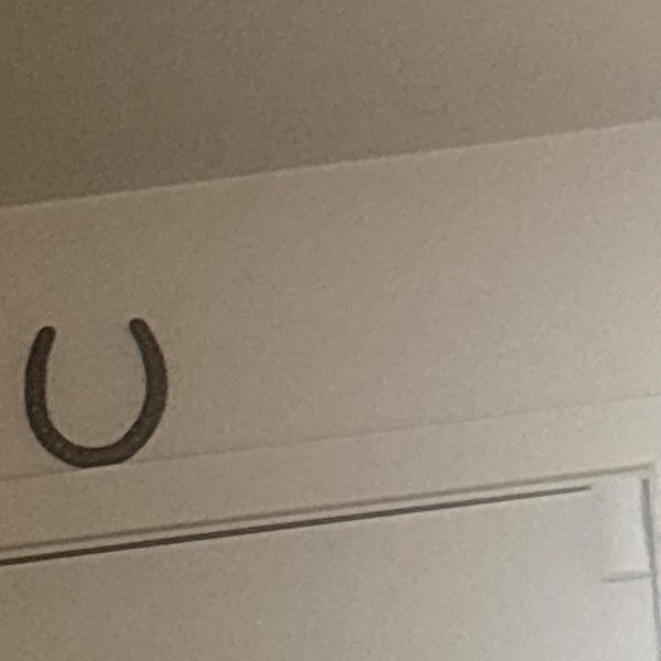 Blessed African Cowrie Altar Bell || Ancestor Veneration - Misa ...