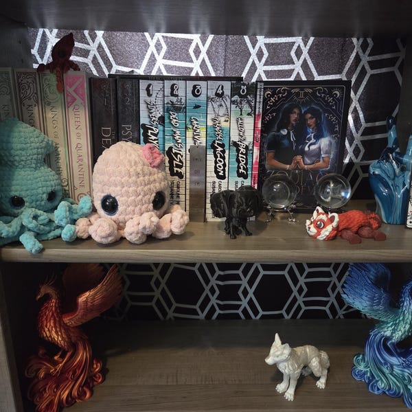 Fourth Wing 3d Printed Map - Etsy