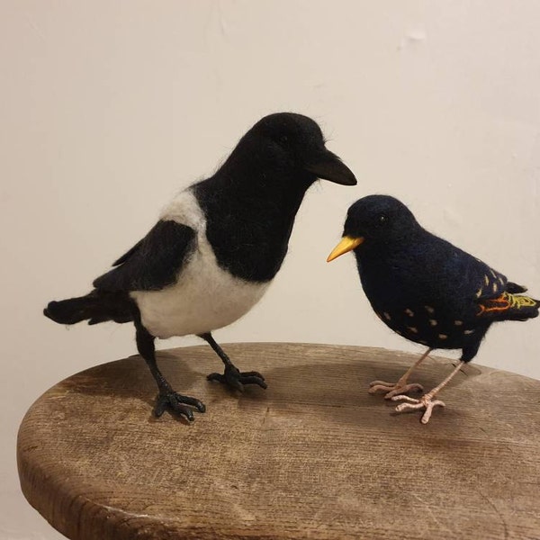 Eurasian Magpie - 1/2 Scale Felted Naturalistic Doll - Etsy