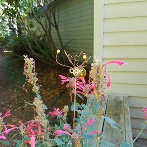 My Firefly Sitting Mounts on a Screen Screen Bug | Etsy