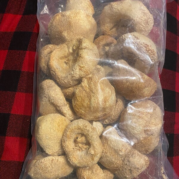 Dried Flounder Fish Powder 大地魚粉 12 Oz - Etsy