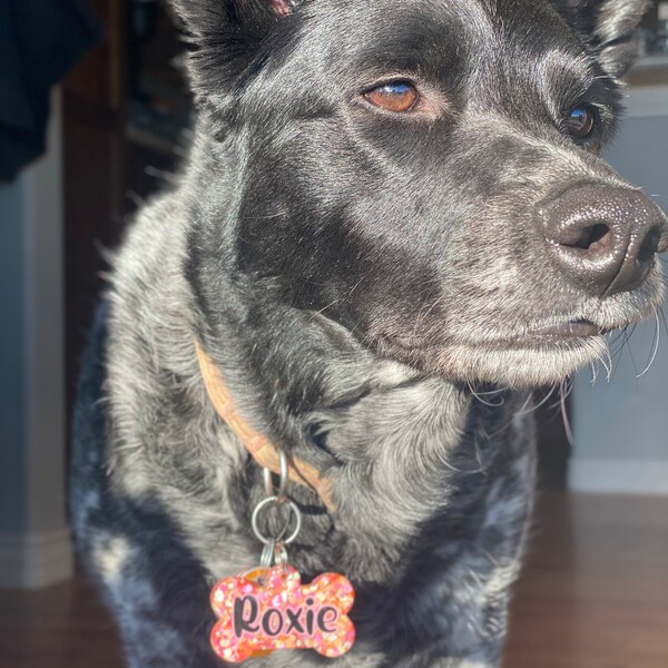 Dotty Pet Tags - Etsy