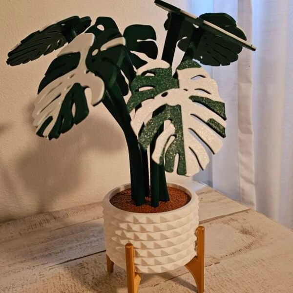 Fiddle Leaf Fig Tree Coaster Plant Desk Toy or Coffee Table Piece - Etsy