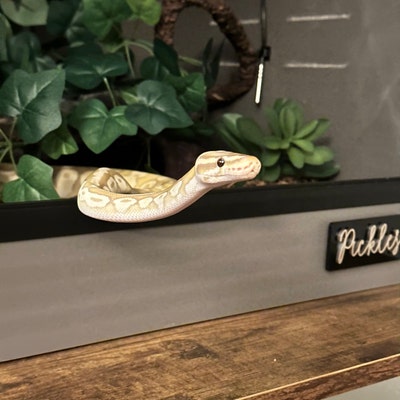 Ruffled Posey TEMPLATE SVG digital File Only - Etsy