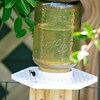 Pollinator Watering Station Customize Depth Small Mouth Mason Jar | Bee ...