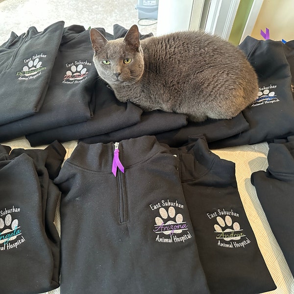 Personalized Vet Tech Pullover, RVT Sweatshirt, Vet Assistant ...