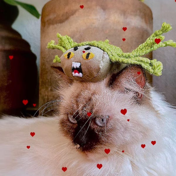 Loch Ness Monster Catnip Cat Toy - Etsy