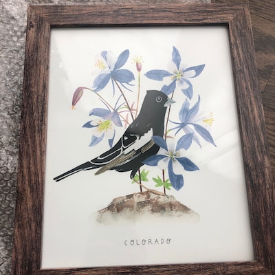 Colorado State Bird Art Print Colorado Lark Bunting and Columbine State ...